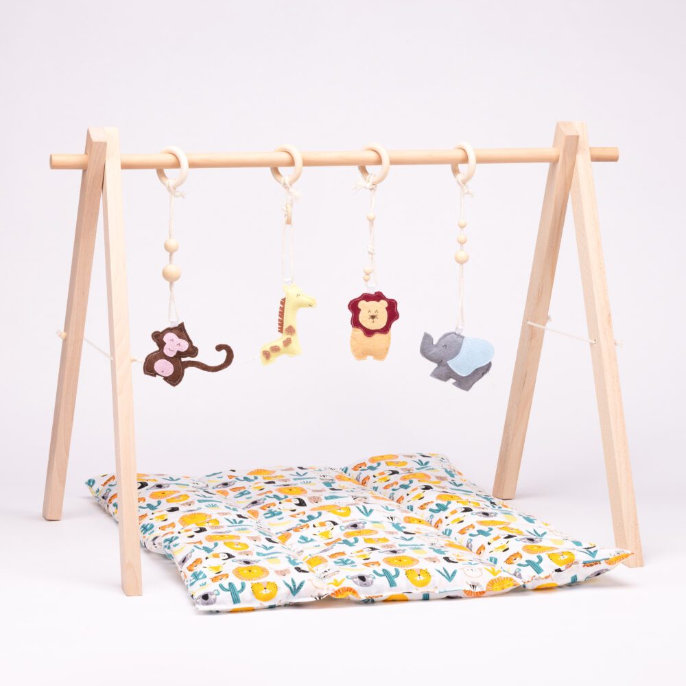 The 5 Ws of a Baby Gym